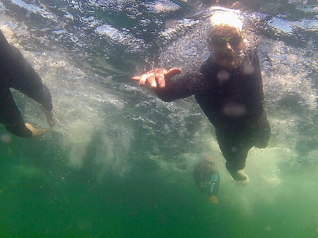 How many swimmers have been attacked by sharks? – Williamstown Open ...